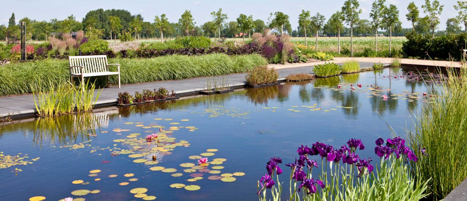 Build a reflecting pond? You will find information and inspiration on ...